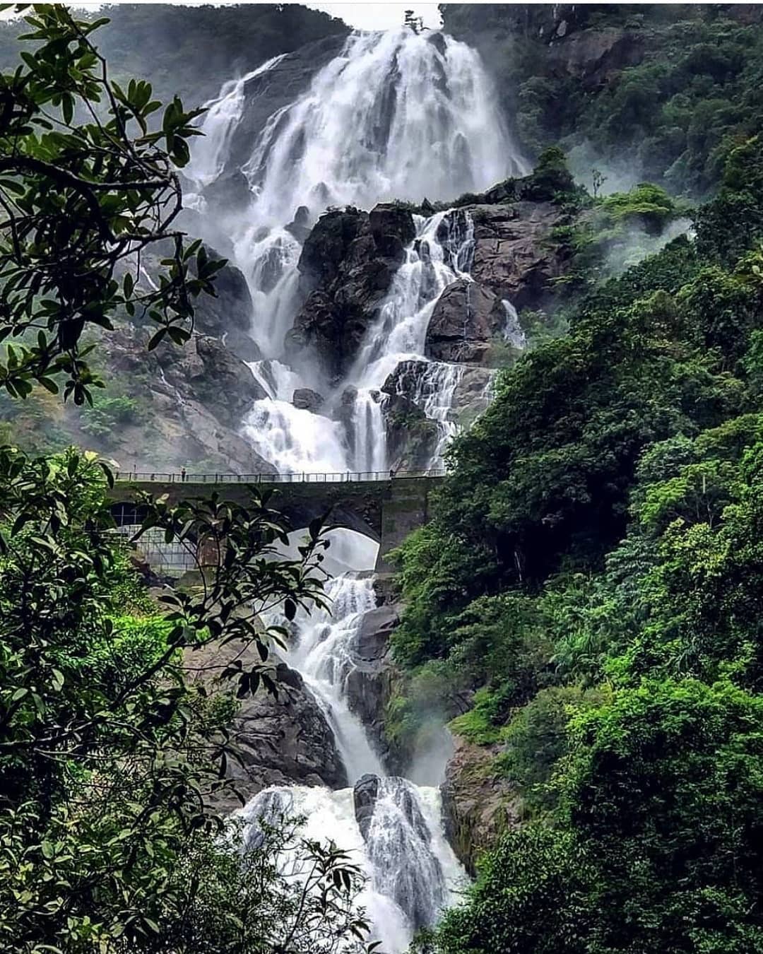 Dudhsagar Waterfall Trip- The most fascinating waterfall in Goa - Goa ...